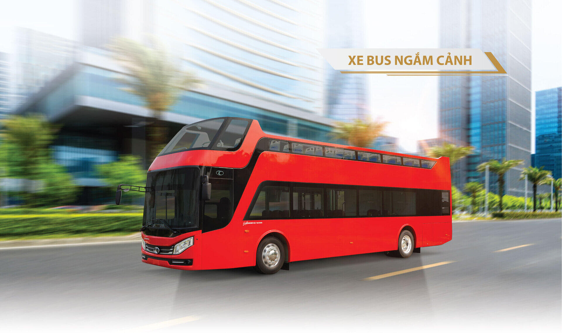 Xuất khẩu xe bus ngắm cảnh